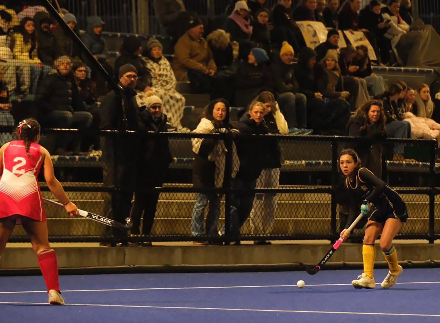 Rangi Stories - Lily O'Steen